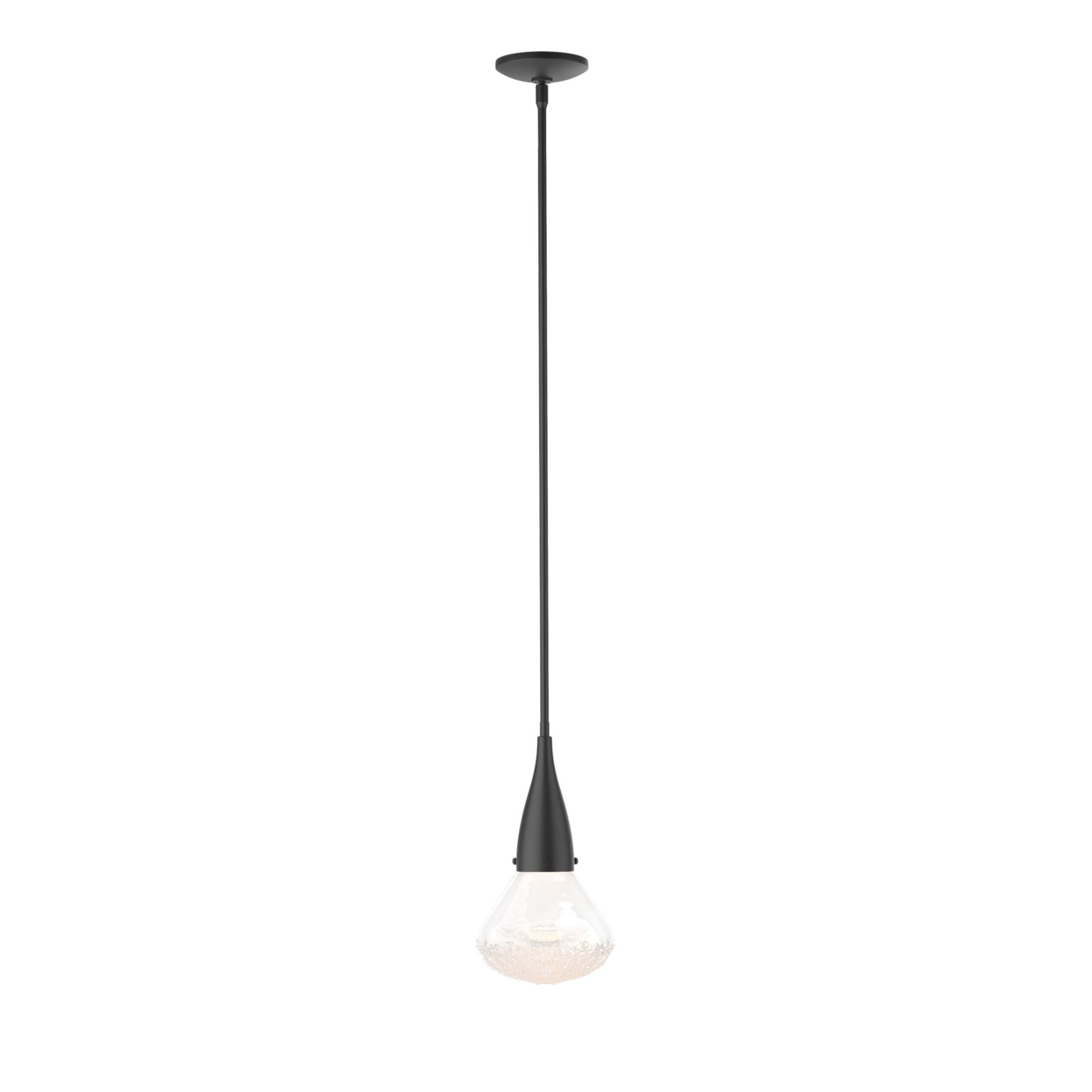 Fritz Large Pendant 1-Light Clear Glass (ZM) in Black