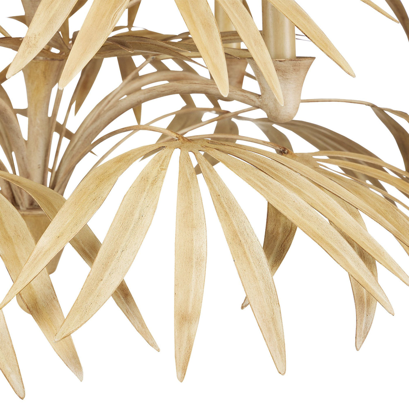 Calliope Coco Cream Chandelier - Coco Cream
